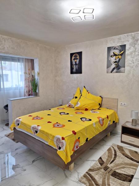 Apartament Timeea Baile Herculane - Băile Herculane