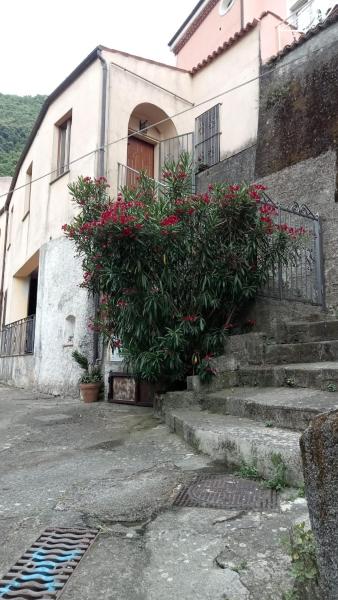 L'oleandro - Maratea