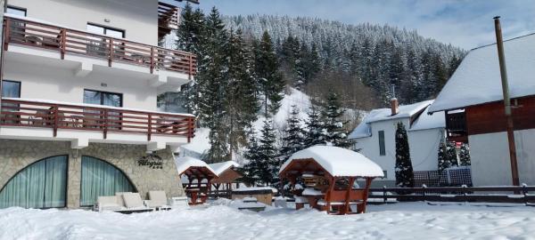 Alegria - Moieciu De Sus - Moieciu