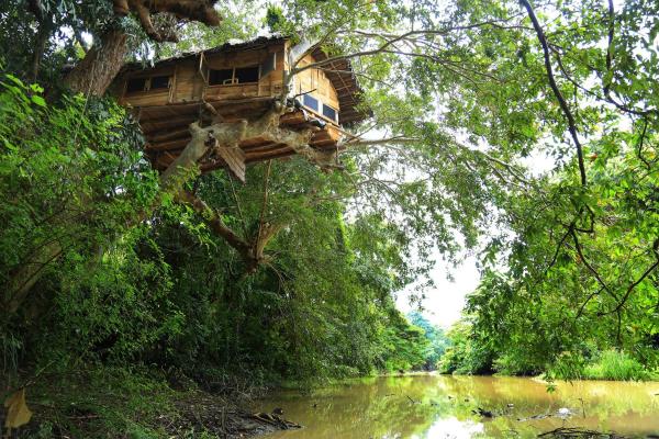 Kumbuk Tree House Yala Safari Place - Sri Lanka