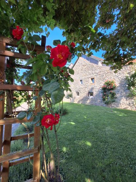 Ferienwohnung ÜBerblick - Radolfzell