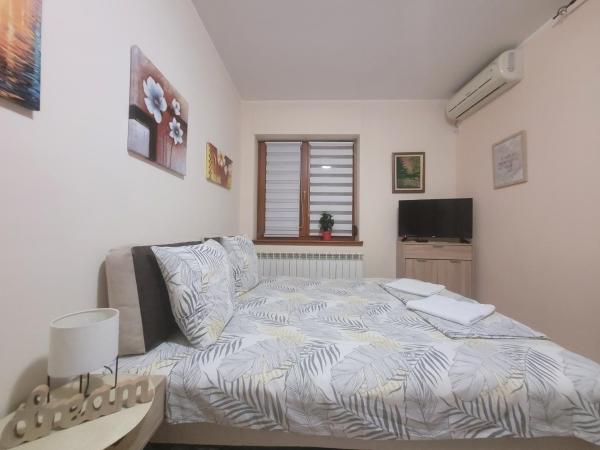 Apartman Bojana - Trstenik