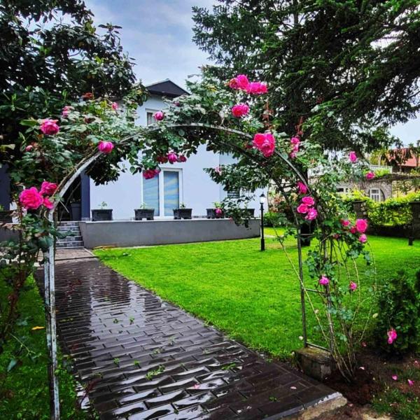 Silver Rose Apartman - Serbia