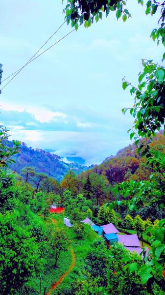 Camp Gopika - Nainital