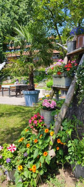 Apartment Im Grünen Mit Anbindung Ans Zentrum - Erfurt