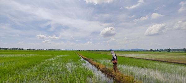 Rumakita Alor Setar Paddy View Netflix M0slim Only - Alor Setar