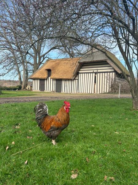 Le Domaine Caribou - Haute-Normandie