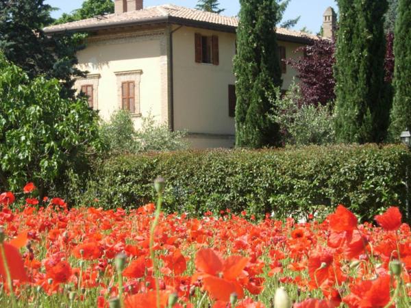 Rugiada Rooms - Assisi