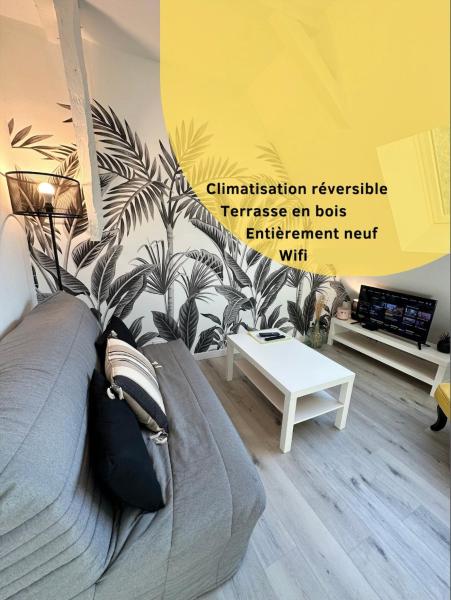 L'ensoleillé - Classé 2 éToiles - Nay Centre - Appartement - Aquitaine