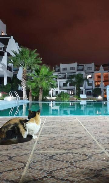 Casa Nueva Cabonegro - Tétouan