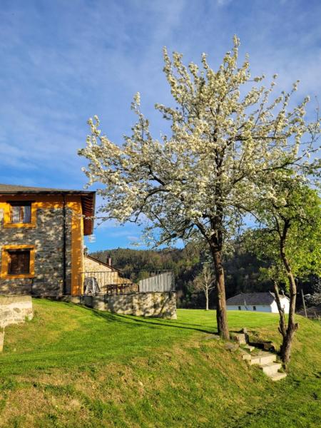 Casa El Fanoso - Asturias