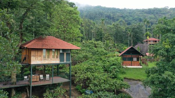 Avadale Wayanad - Stag Groups Not Allowed - Wayanad