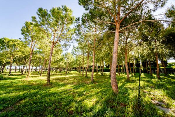 Agriturismo Bio San Mamiliano - Grosseto