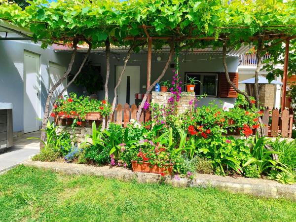 Apartments Pavao 1402 - Pula