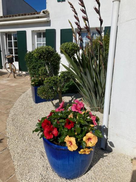 Chambre La Poulpiquet - La Couarde-sur-Mer