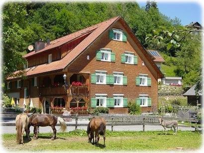 Hotel Gasthaus Schäfle - Bludenz