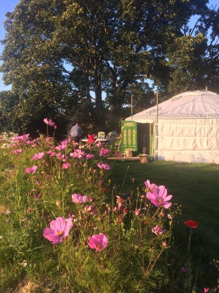 Crazy Pheasant - North Wales - Luxury Mongolian Yurt And Hot Yub - Seclusion And Privacy - Digital Detox - Wales
