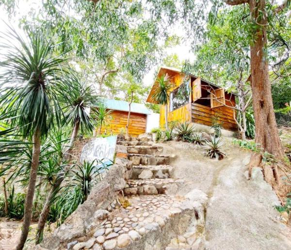 Meo Homestay - Vietnam