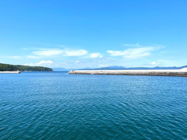 マリンライフ - Miyagi