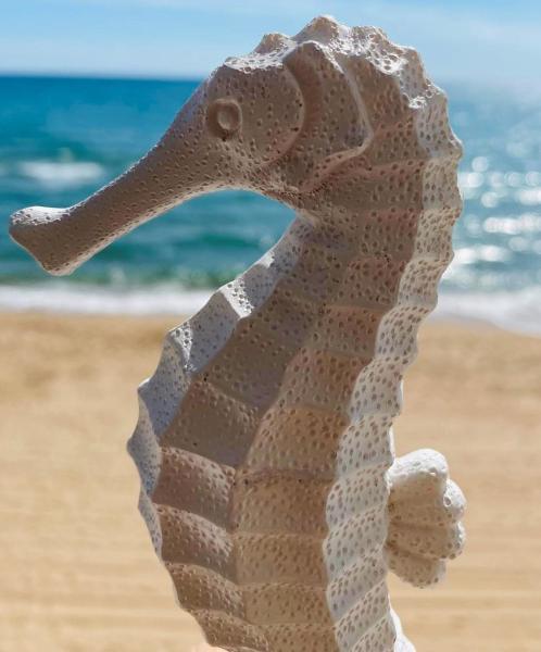 Caballito De Mar - Tavernes de la Valldigna