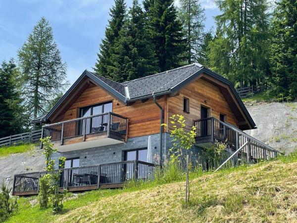Tomtegl-bergchalet-no-13-mit-privatsauna-infinitypool-kamin-fitnessraum-1500m-seehoehe - Carinzia