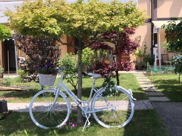 Sensory Garden - Provincia di Udine