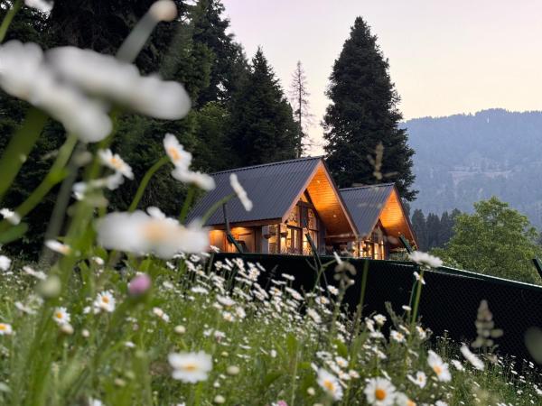 Solomons Gray - グルマルグ