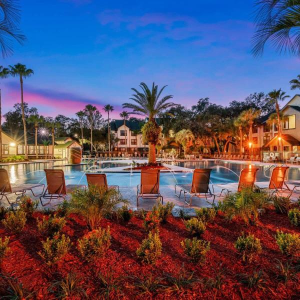 Long Term Stays Allowed Pet Friendly & Pool - Odessa, FL