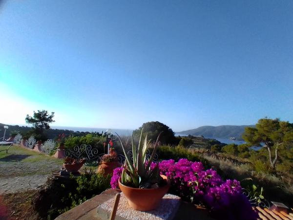 Gavila's Residenza Turistico Alberghiera - Elba