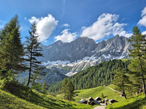 Family Appartment - Dachstein View - Obertraun