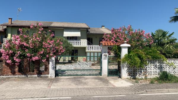 Palma Verde - Caorle