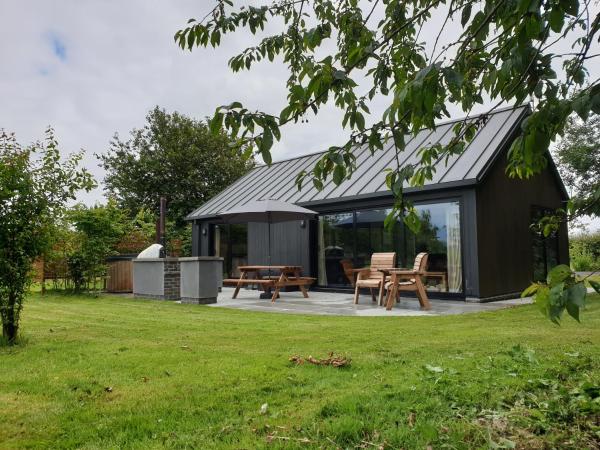 Blackcap - Pocklington