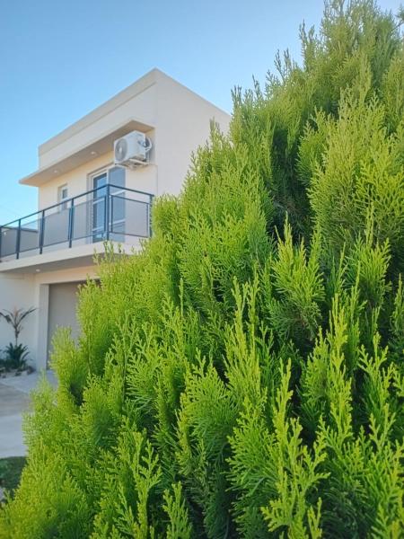 Departamentos Los Dos Pinos - San José, Argentina