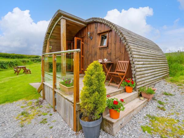 Oak View - Llandovery