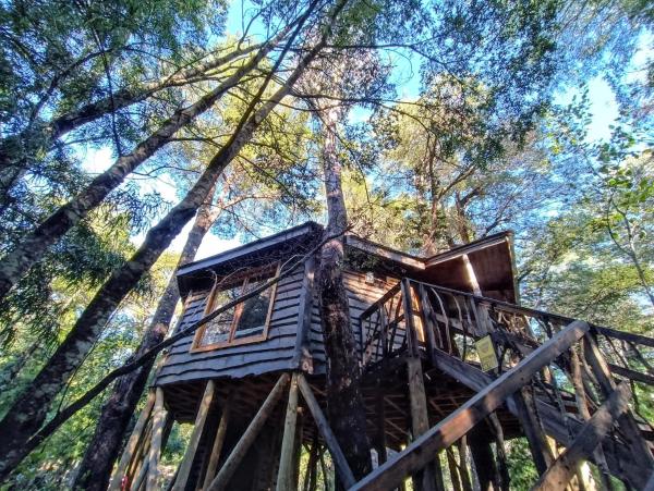 Cabañita Del ÁRbol Cóndor - Provincia de Neuquén
