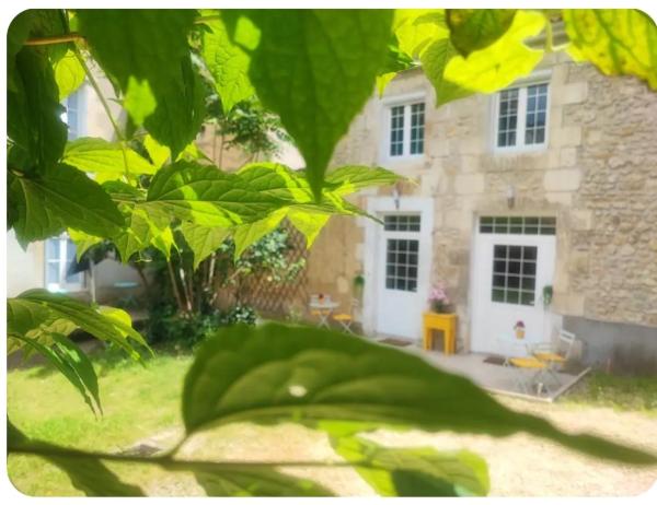 Le Cocoon Doré - Poitiers