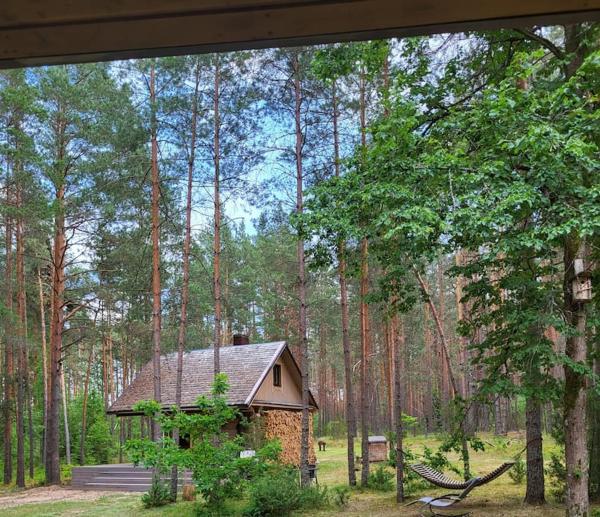 Ramus Poilsis Miške Su Kedro Pirtimi Ir Kubilu - Belarus