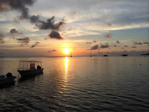 Omah Alchy Cottages - Central Java