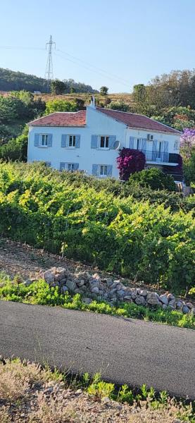 Charmant T3 En Rez De Jardin D'une Villa - Ghisonaccia