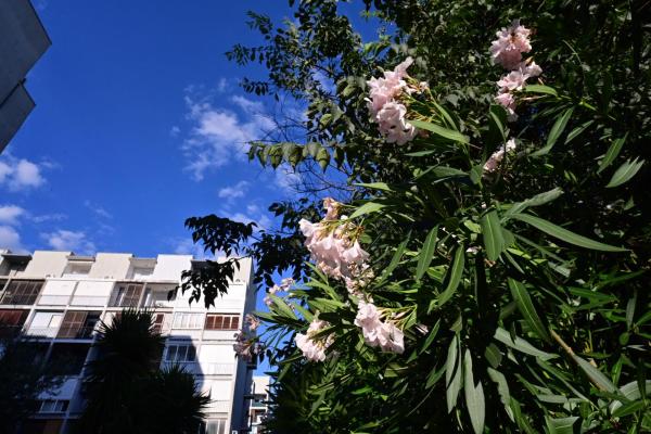 Apartment Paula - Split