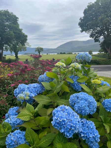 Loch Lein Country House - Killarney
