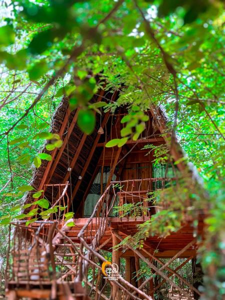 Habarana Tree House Ambasewana Resort - Sri Lanka