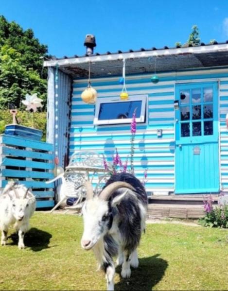 Treguth Glamping Unique Experience - Themed Huts - St Agnes