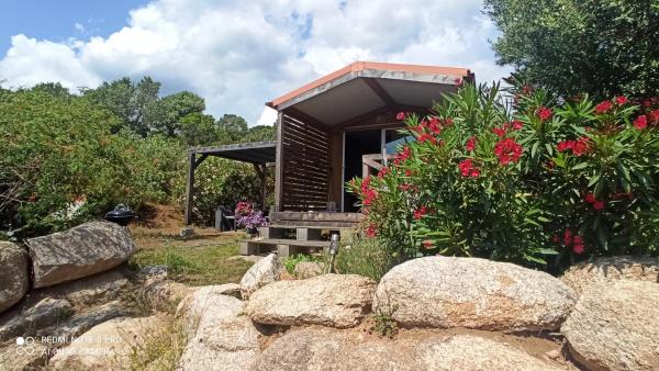 Petit Chalet - Pianottoli-Caldarello