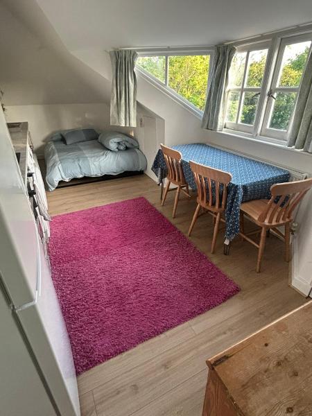 Cosy Attic Flat With Views - Barnet
