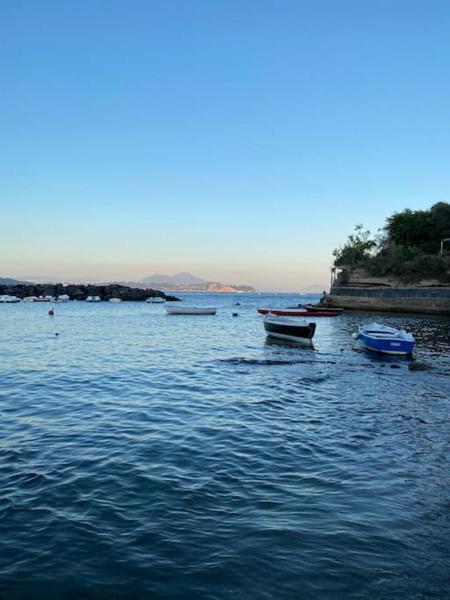 Domus Ambrosia - Procida