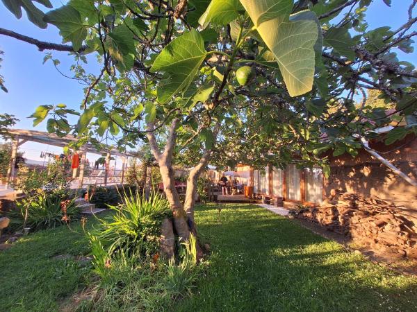 Pilgrims Rest - Vila Nova De Cerveira - Hostel - Albergue - Al - Portugal