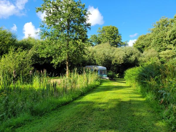 The Cwtch Peace & Quiet Surrounded By Nature In Complete Privacy With Rustic Charm, Log Burner, Comfy Bed, Fire Pit, Campers Kitchen, Beautiful Surroundings - Narberth