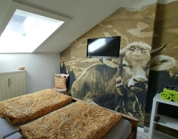 Alphorn Bergnescht - Oberstdorf