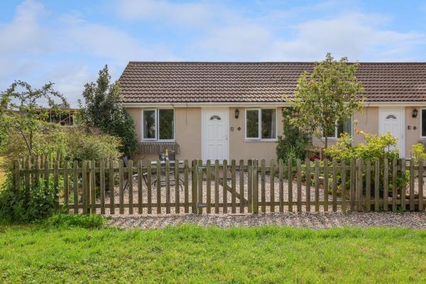 Mallard - Burnham-on-Sea
